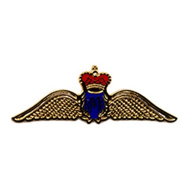 RAAF Wings Enamel Pin | Moorabbin Air Museum